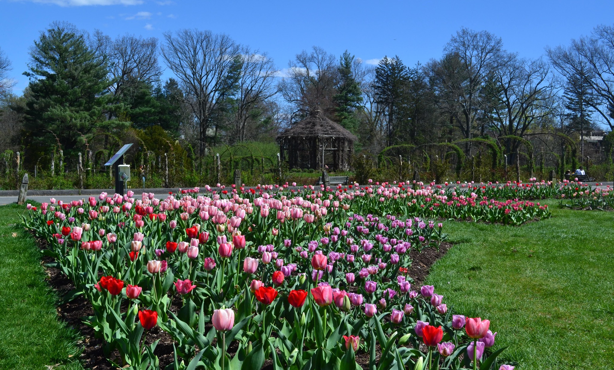 Elizabeth Park History Tour ⋆ Hartford Has It